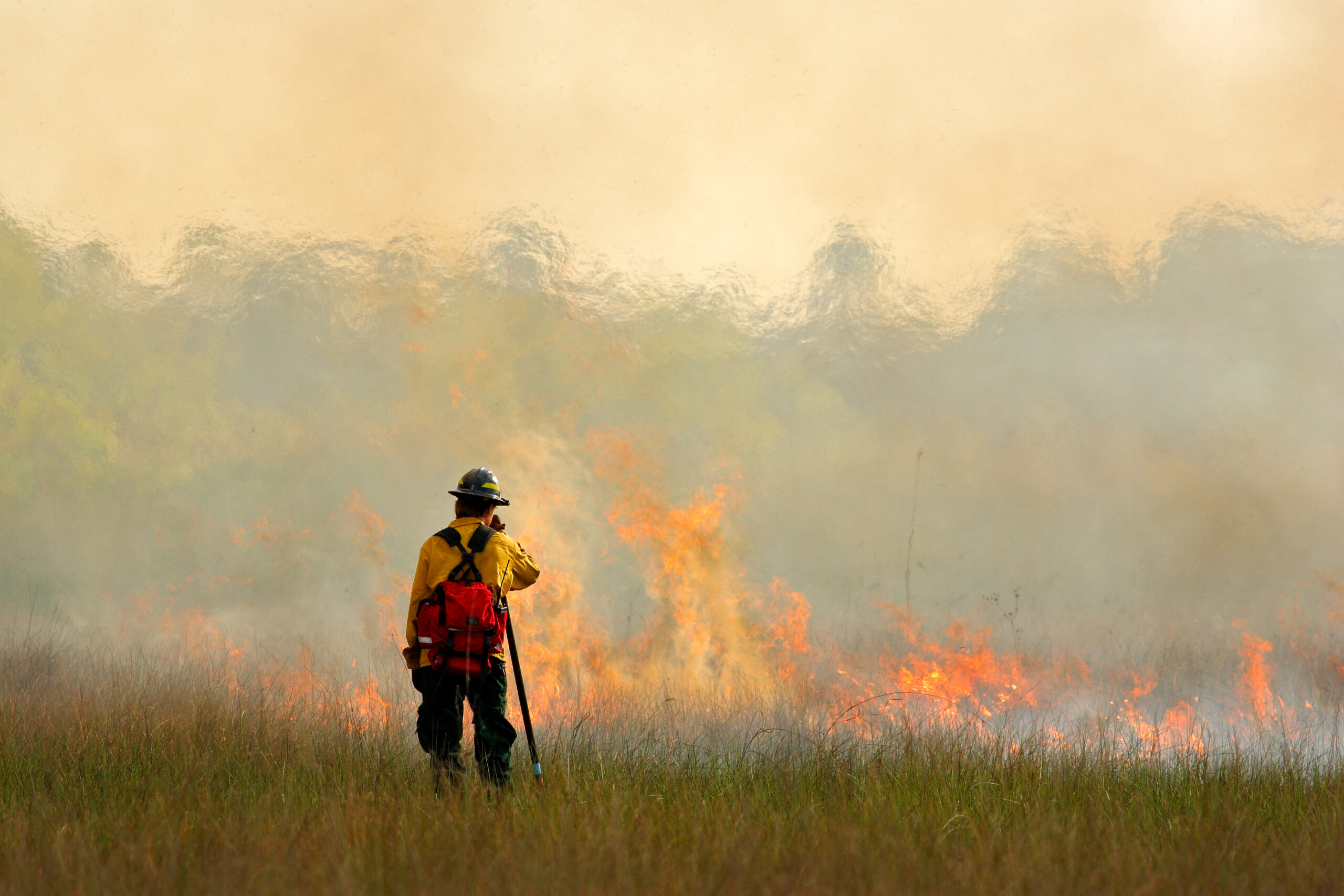 Wild Fire Supplies FireReady Essentials - Wild Fire Supplies